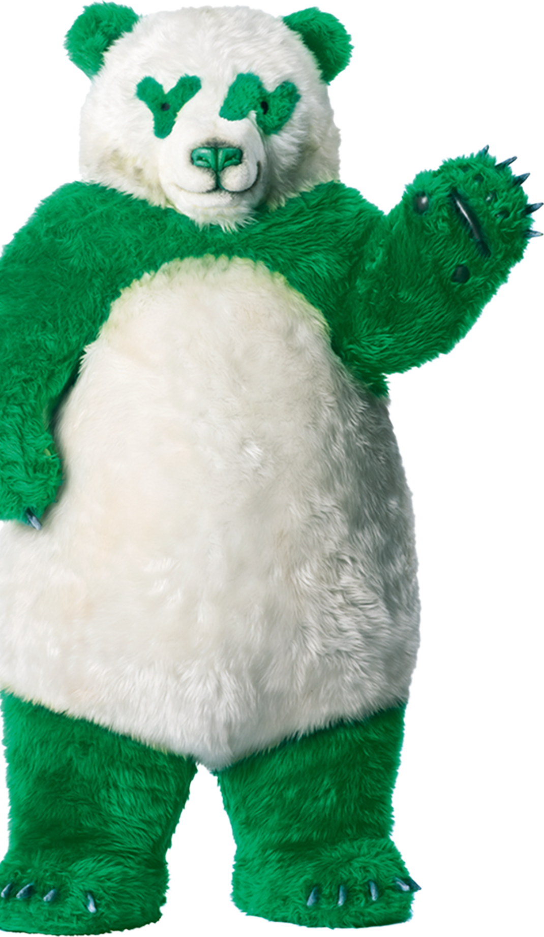 札幌で定期保険の正しい選び方 | ほけんYesNoナビ